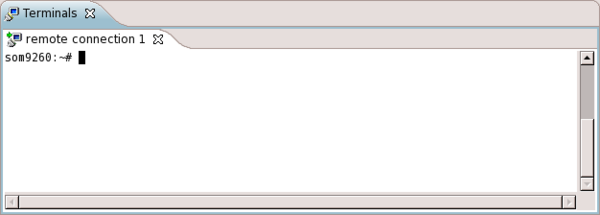 Remote System Explorer Shell and Terminal Setup - Remote System ...